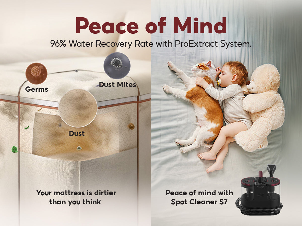 Corvan Spot Cleaner S7 - Carpet & Upholstery Cleaning with ProExtract